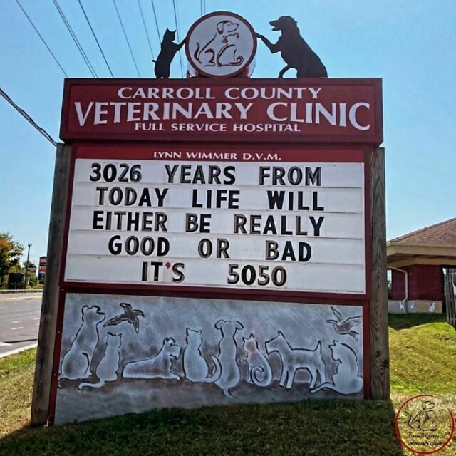 30 Funny Vet Signs To Laugh At While You Take A Paws From Your Hectic ...
