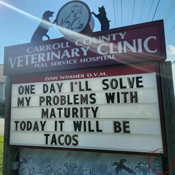 30 Funny Vet Signs To Laugh At While You Take A Paws From Your Hectic ...