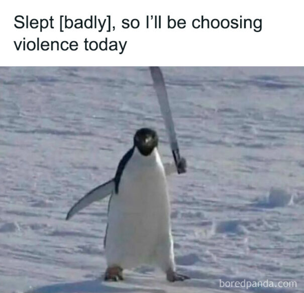 ‘That’s So Meme’: 25 Random Memes That Deliver Amusement To Your Screen ...