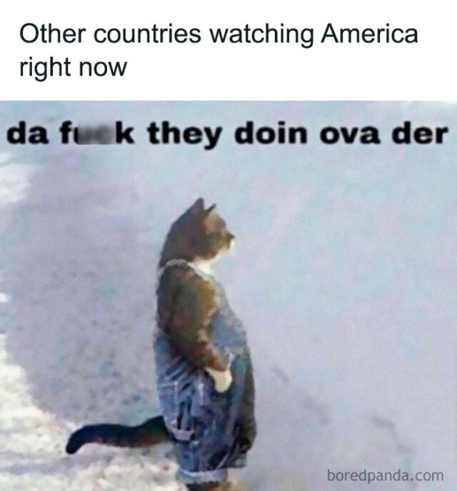 ‘That’s So Meme’: 25 Random Memes That Deliver Amusement To Your Screen ...