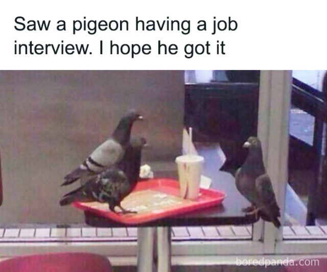 ‘That’s So Meme’: 25 Random Memes That Deliver Amusement To Your Screen ...