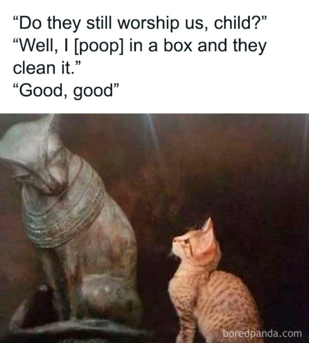 ‘That’s So Meme’: 25 Random Memes That Deliver Amusement To Your Screen ...