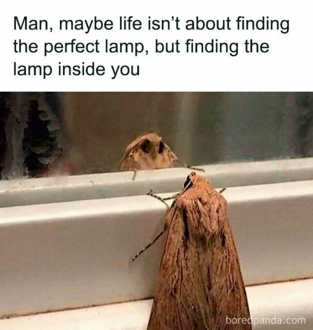 “Why Are We Here?”: 25 Funny Philosophical Memes | DeMilked
