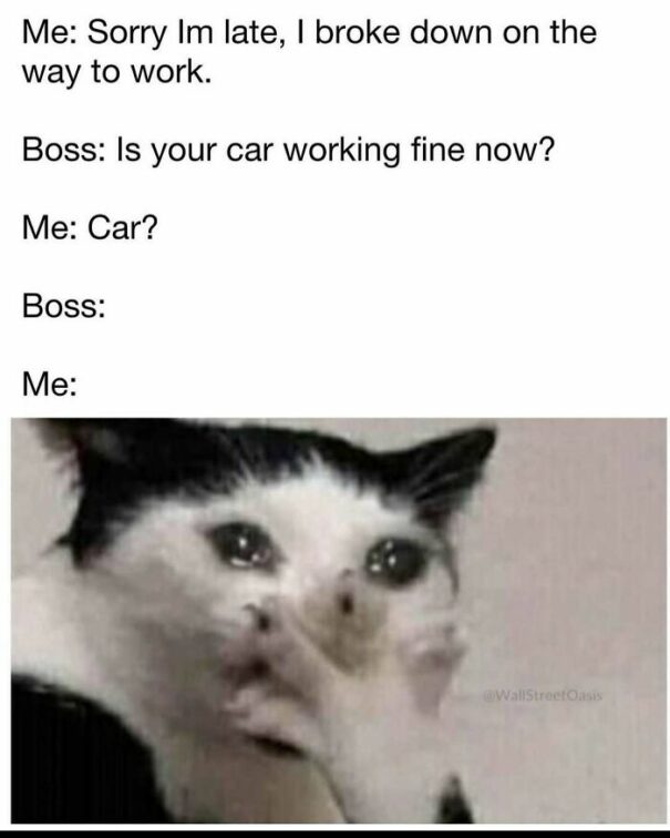 25 Extremely Relatable Memes For Anyone Using Humour To Cope With Life ...