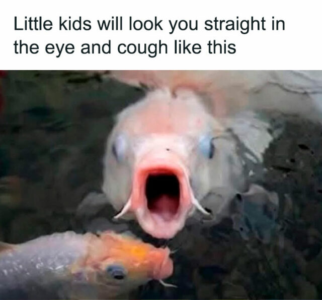 25 Extremely Relatable Memes For Anyone Using Humour To Cope With Life ...