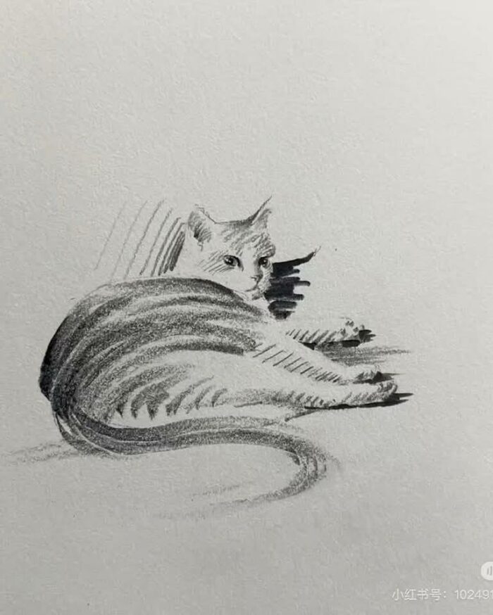 Chinese Artist Shou Xin Beautifully Illustrates 10 Cats In Simple ...