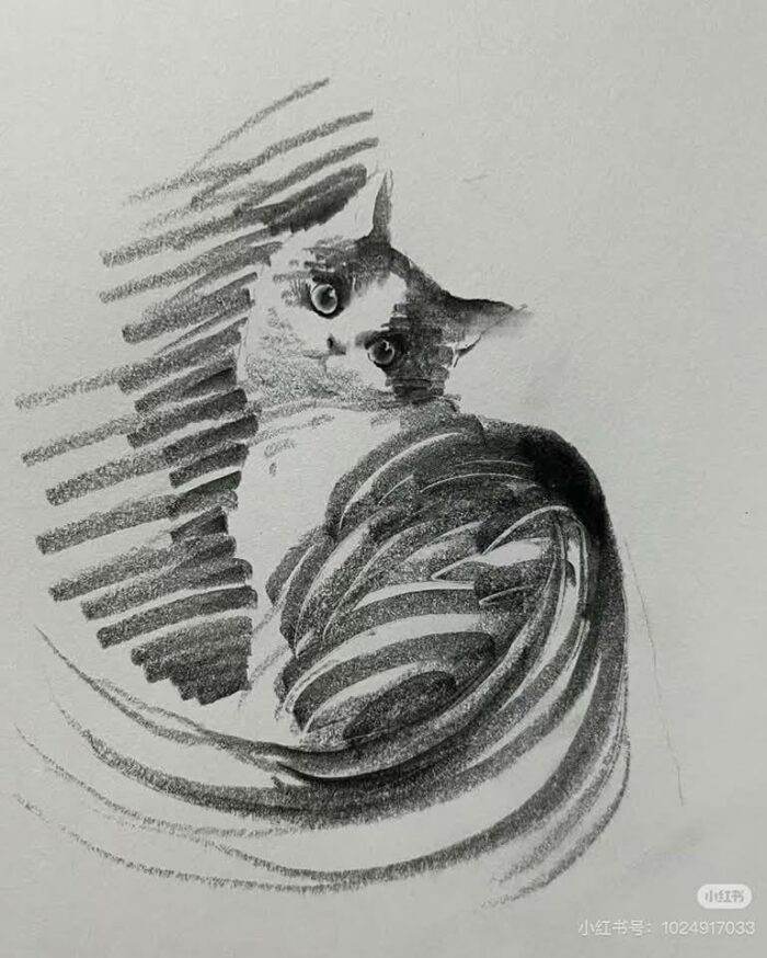Chinese Artist Shou Xin Beautifully Illustrates 10 Cats In Simple ...