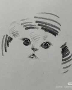 Chinese Artist Shou Xin Beautifully Illustrates 10 Cats In Simple ...