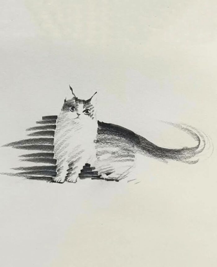 Chinese Artist Shou Xin Beautifully Illustrates 10 Cats In Simple ...