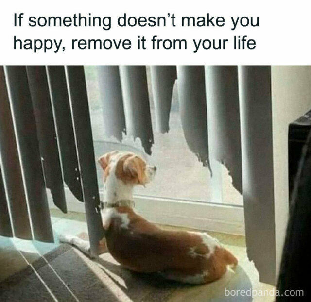 35 Of The Funniest Posts Shared On A Viral FB Meme Page | DeMilked