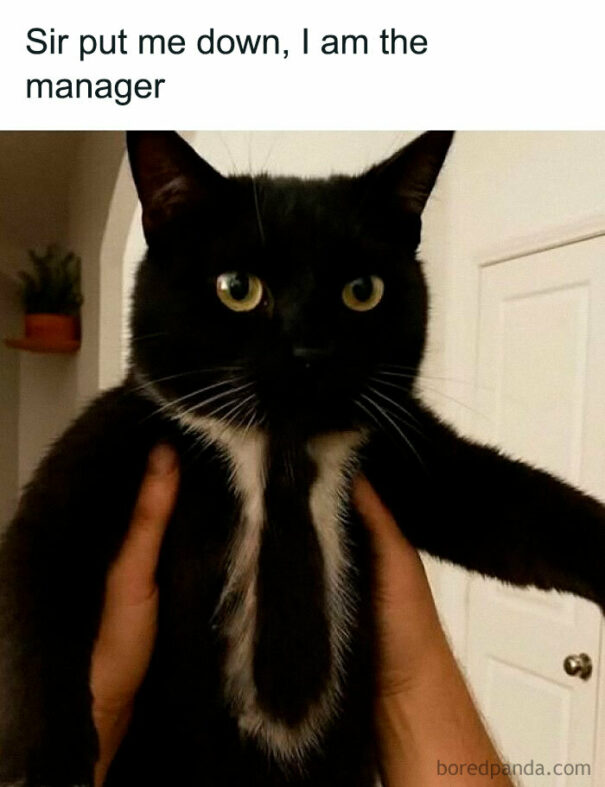 35 Of The Funniest Posts Shared On A Viral FB Meme Page | DeMilked