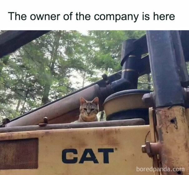 35 Of The Funniest Posts Shared On A Viral FB Meme Page | DeMilked