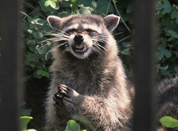 35 Americans Recall The Funniest Foreign Misconceptions About USA ...