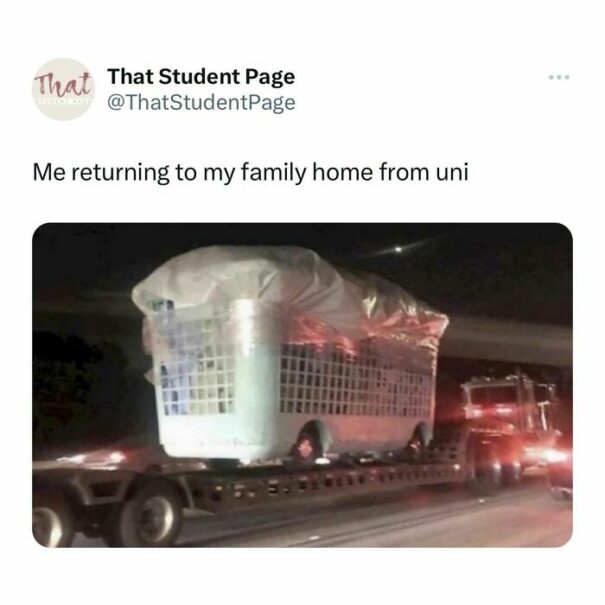 25 Painfully Accurate Memes About The Life Of A Uni Student | DeMilked