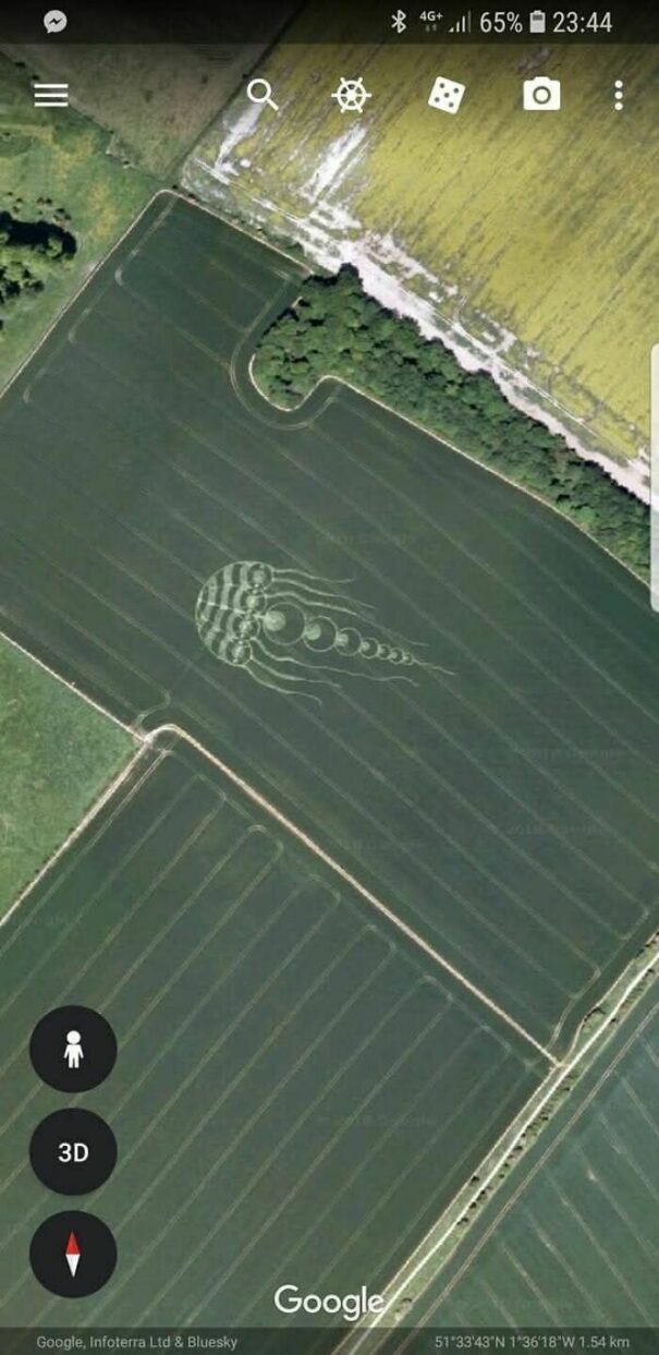 35 Of The Weirdest Things People Spotted On Google Earth | DeMilked