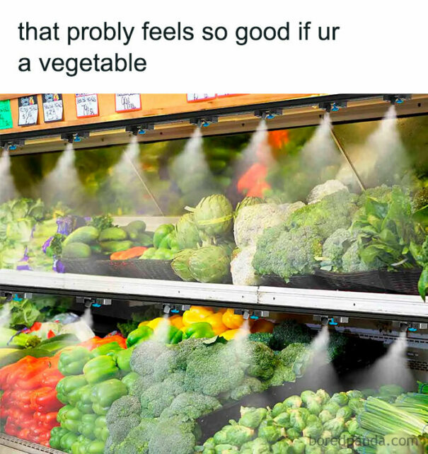 35 Memes For People Who Have An Affinity For Sarcasm | DeMilked