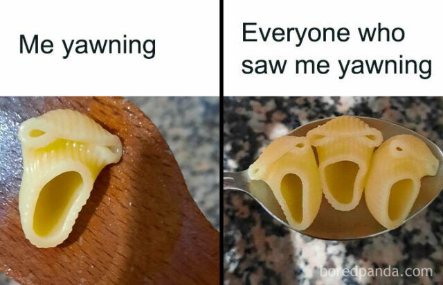 35 Memes For People Who Have An Affinity For Sarcasm | DeMilked