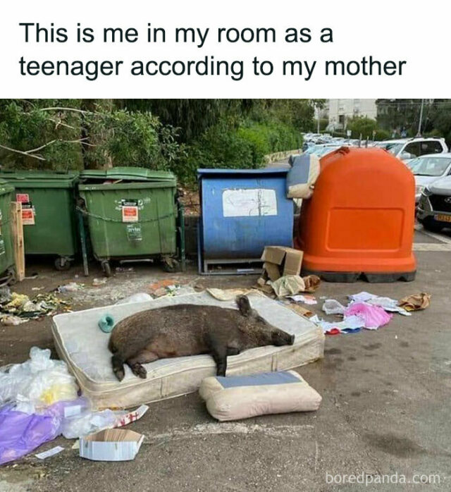 35 Funny Memes To Enjoy While Shirking Your Responsibilities | DeMilked