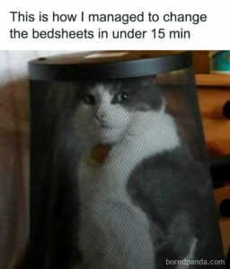 35 Funny Memes To Enjoy While Shirking Your Responsibilities | DeMilked