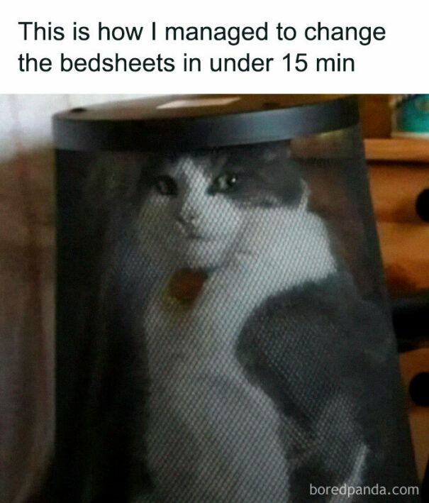 35 Funny Memes To Enjoy While Shirking Your Responsibilities | DeMilked