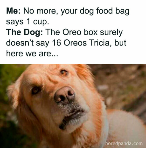 35 Funny Memes To Enjoy While Shirking Your Responsibilities | DeMilked