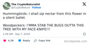 35 Funny Memes To Enjoy While Shirking Your Responsibilities | DeMilked