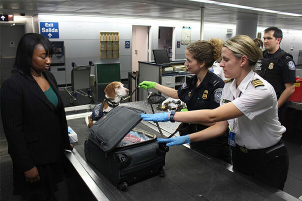 25 Of The Wildest Background Checks That Revealed Disqualifying ...