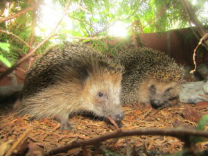 20 Mind-Boggling Paradoxes That Stimulate Logical Thinking Patterns ...