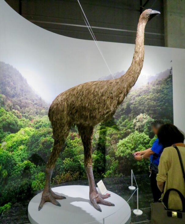 25 Animals We Don’t See Anymore And The Reason For Their Extinction ...
