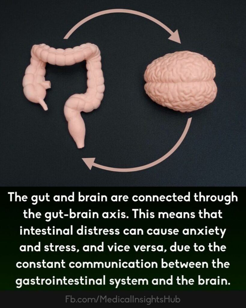 35 Strange Facts About The Human Body That Might Pique Your Interest ...