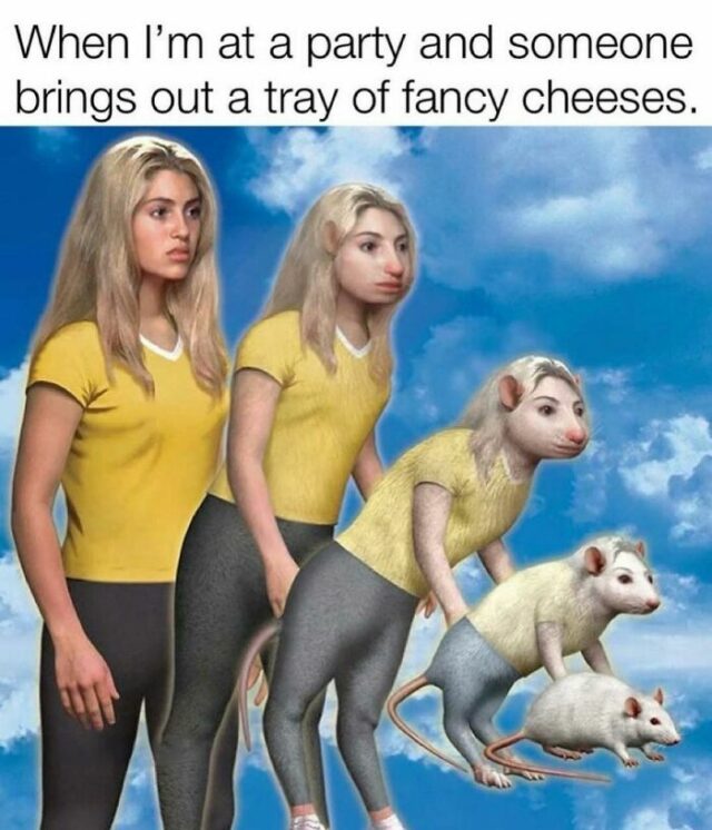 35 Funny “Zillennial’ Memes For People Who Can’t Decide If They Are Gen ...
