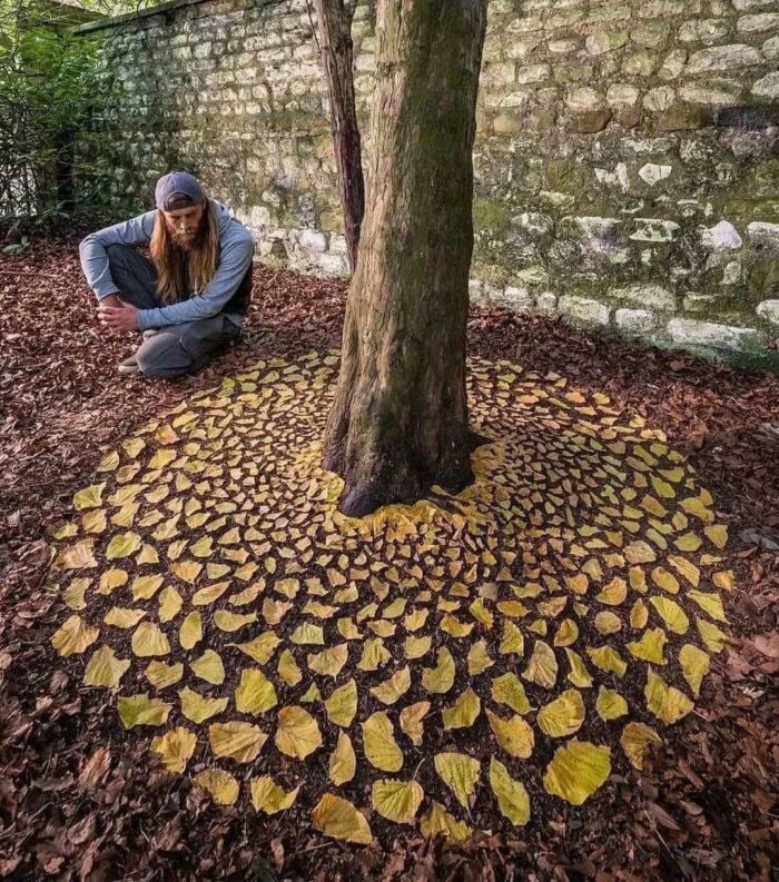 This Artist Turns Forest Floors Into Art With Only What Nature Offers ...