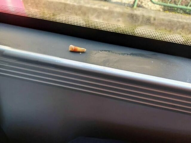 25 Photos Of Unbelievably Disgusting Things Seen On Public Transport ...