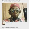 35 People’s Classy Insults That Impressed Even Their Enemies | DeMilked