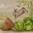 20 Illustrations By Emily Duffin That Seem Like A Love Letter To Nature ...