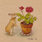 20 Illustrations By Emily Duffin That Seem Like A Love Letter To Nature ...