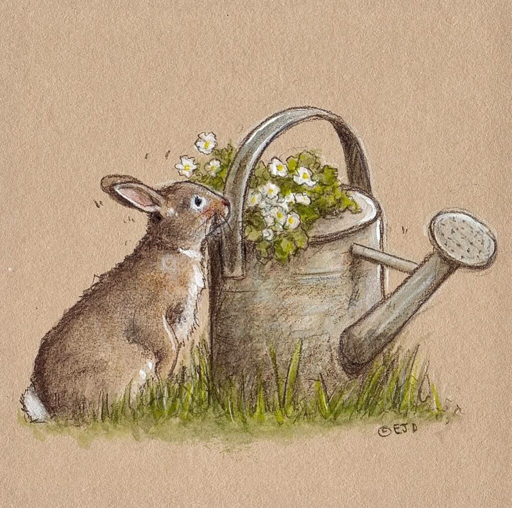 20 Illustrations By Emily Duffin That Seem Like A Love Letter To Nature ...