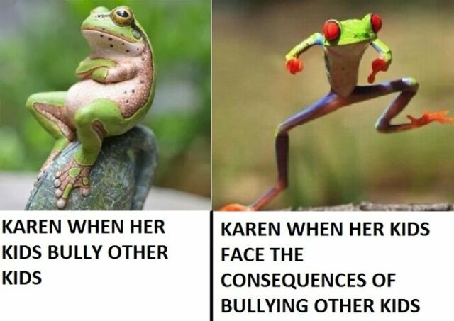 35 Relatable Memes About Dealing With Entitled Parents Who Demand ...