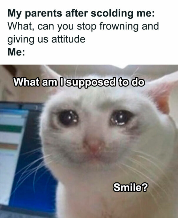 35 Relatable Memes About Dealing With Entitled Parents Who Demand ...