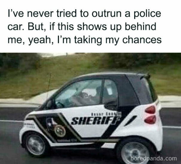 25 Amusing Redneck Memes About The Chaos Of Country Life | DeMilked