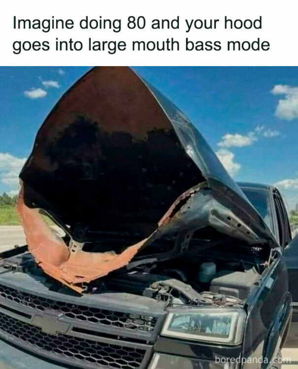 25 Amusing Redneck Memes About The Chaos Of Country Life | DeMilked