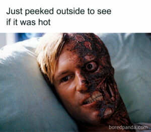 35 Scorching Hot Memes To Laugh At While Summer Beats Down On Us | DeMilked