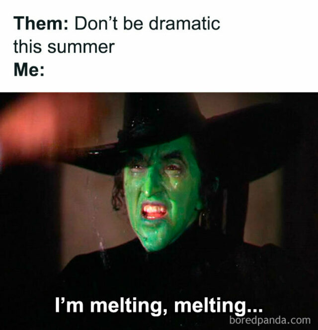 35 Scorching Hot Memes To Laugh At While Summer Beats Down On Us | DeMilked