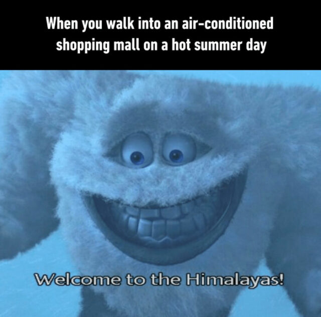 35 Scorching Hot Memes To Laugh At While Summer Beats Down On Us | DeMilked