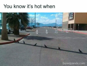 35 Scorching Hot Memes To Laugh At While Summer Beats Down On Us | DeMilked