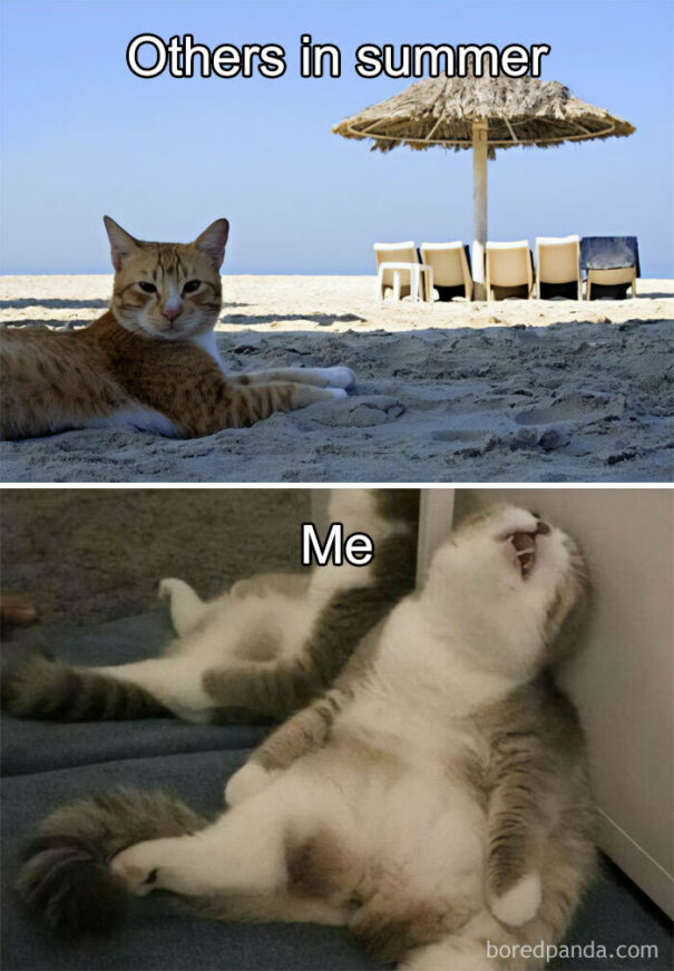 35 Scorching Hot Memes To Laugh At While Summer Beats Down On Us | DeMilked