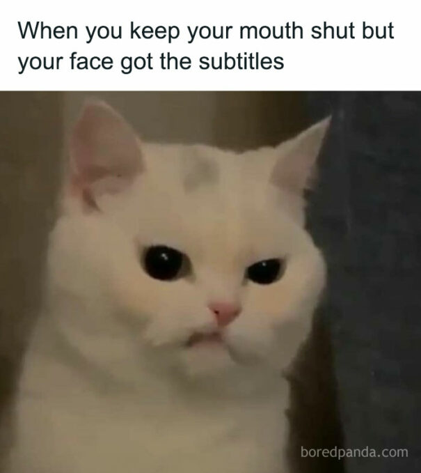 35 Relatable Memes That Make You Wonder If Someone Is Spying On The ...