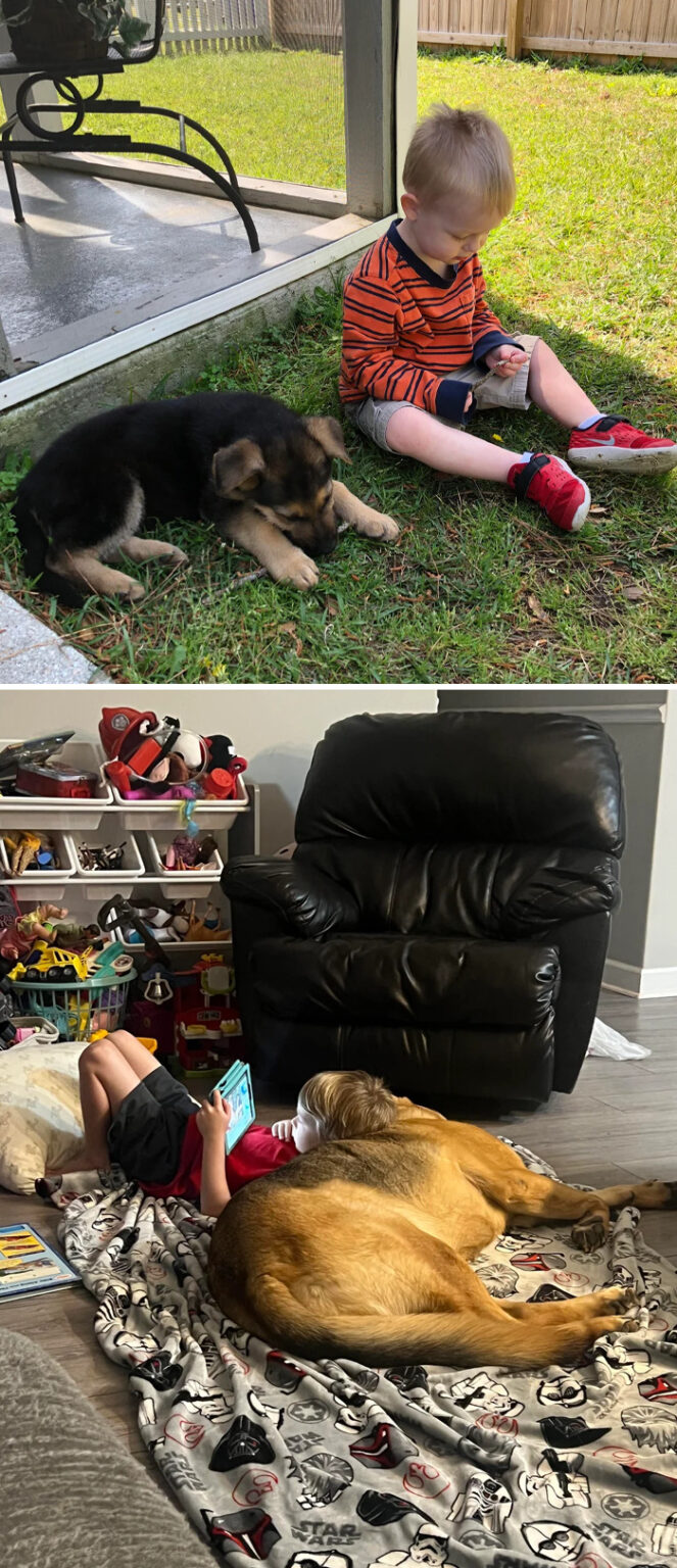 35 Times Dogs Pureness Of Heart Shone Through The Lens Of The Camera ...