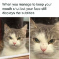 35 Fun Posts From A Page That Claims To Be "The World’s Official Source ...