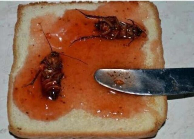 35 Photos Of The Most Cursed Looking Food | DeMilked